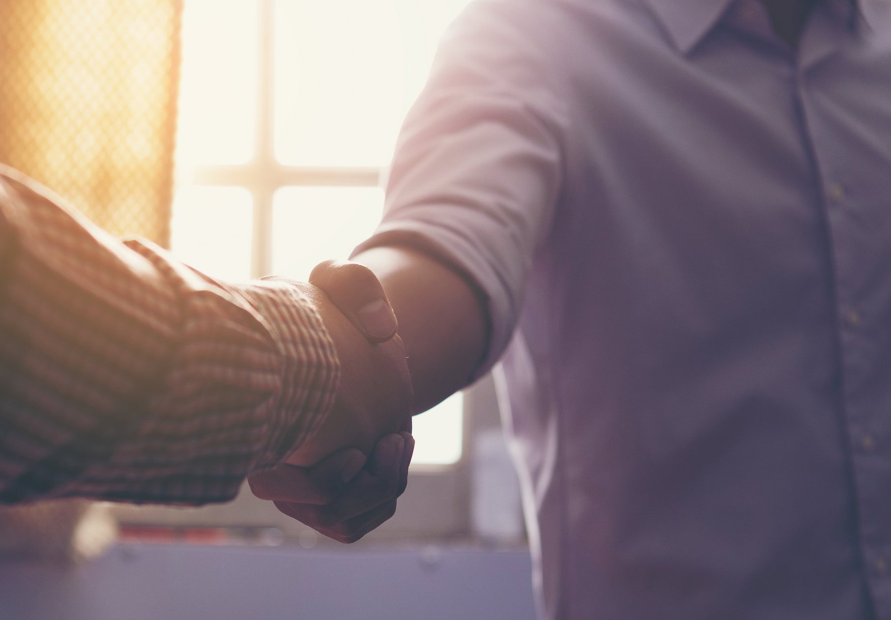Partner & Erfahrungsberichte - RZL Software GmbH